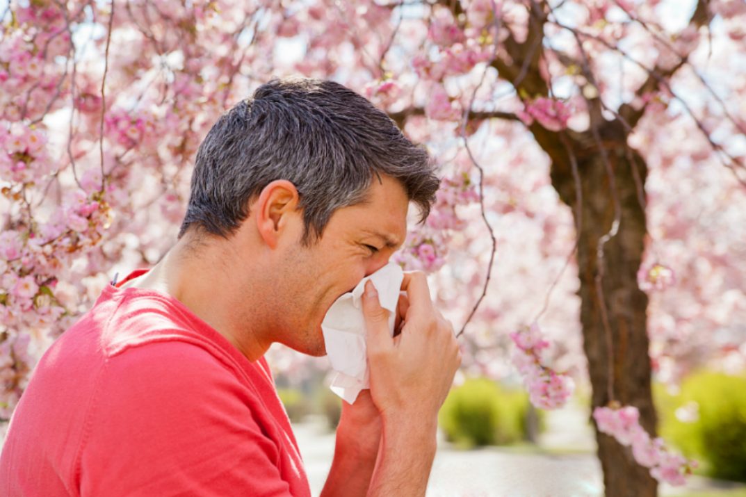 Get Prepared, Spring Allergy Season Is Here Already! – Allendale ...